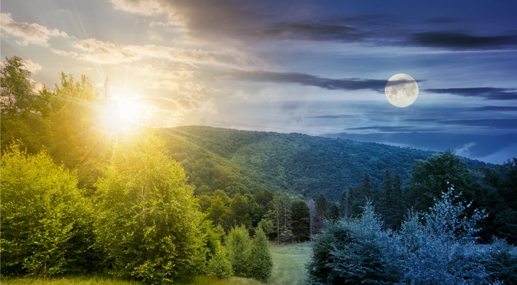 La ambivalencia como parte del psiquismo: su expresión en sueños ...